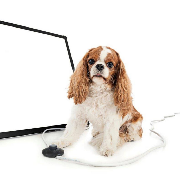 Products – naturebright